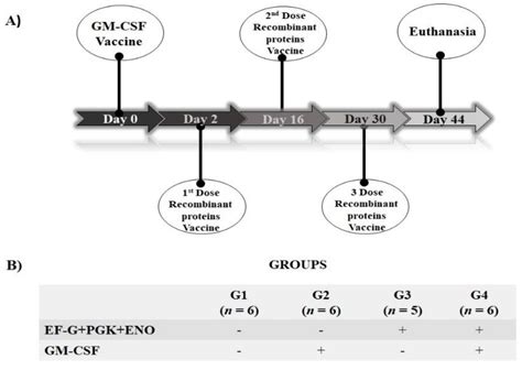 Staphylococcus Aureus Cure Associated Antigens Elicit Type 3 Immune Memory T Cells