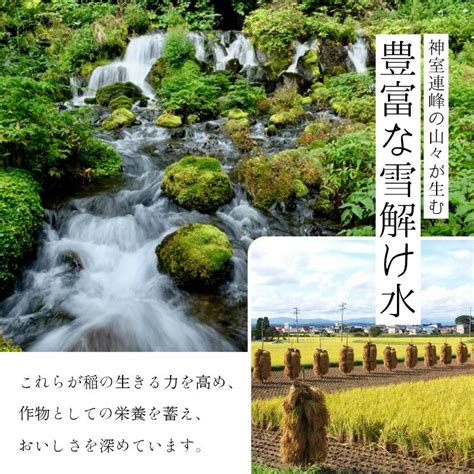 【楽天市場】【ふるさと納税】《容量が選べる》令和6年産 米どころ 山形県産 はえぬき（精米）2kg～10kg 22年連続特a受賞 米 お米 お