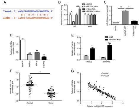 Long Non‑coding Rna Xist Accelerates Hepatic Carcinoma Progression By