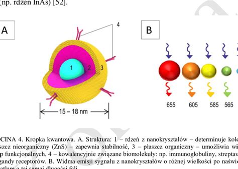 Quantum Dot A Structure 1 Nanocrystals Core Determines The