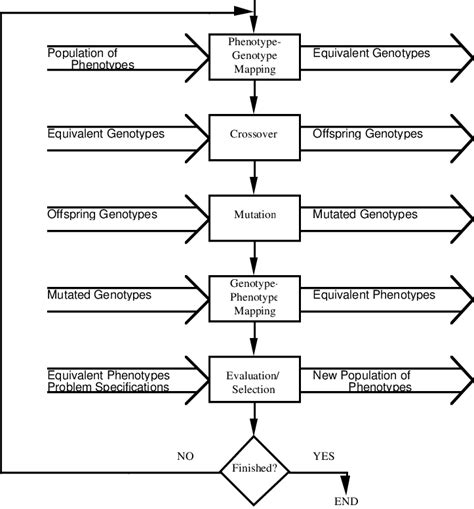 The Genetic Algorithm Download High Resolution Scientific Diagram