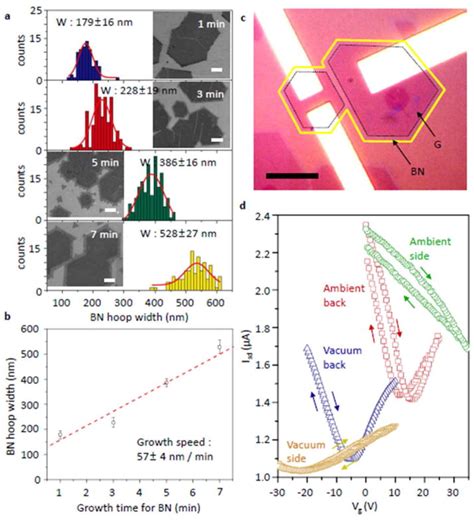 Continuous Growth Of Hexagonal Graphene And Boron Nitride In Plane