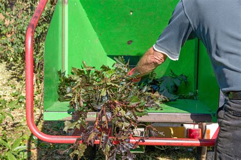 Gardener 피드 자르다 지사 내에서 공업주 크기순 분쇄기 파쇄기에 대한 스톡 사진 및 기타 이미지 파쇄기 앞마당 또는