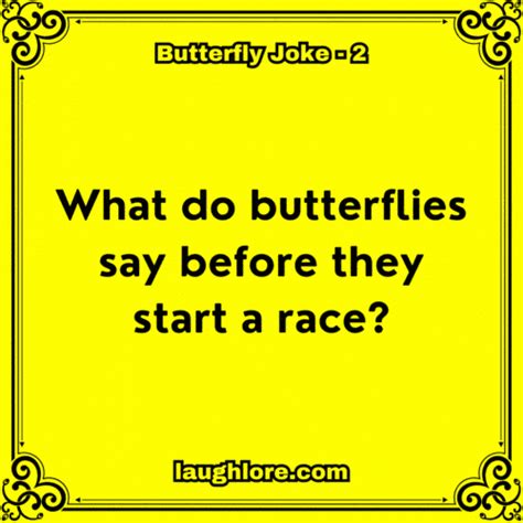 125 Butterfly Jokes