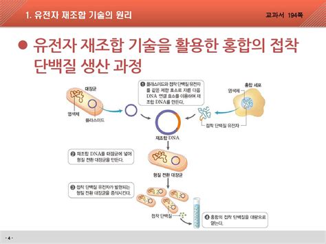 미래엔 엠티처