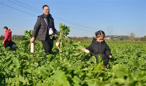 河南洛阳：爱心助农 双向暖心 幻灯片 乡村振兴科技网