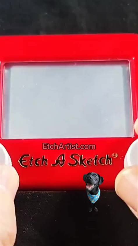 Dog Chasing Bubbles Album On Imgur