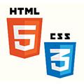 Project Training Technoguide Infosoft Pvt Ltd