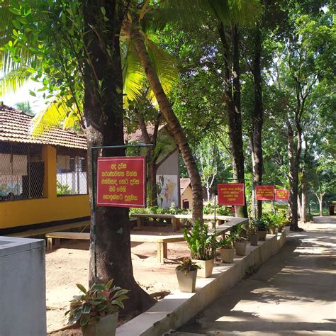Mopph Sri Lanka Enderamulla