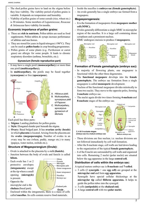 Solution Sexual Reproduction In Flowering Plants Studypool