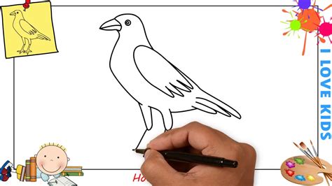 Ravens Birds Drawing