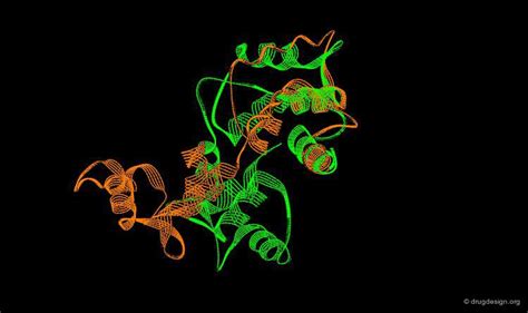 Structural Bioinformatics Drug Design Org
