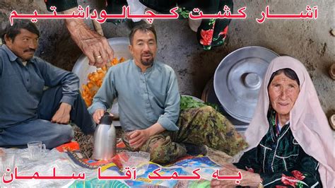آشار کشت کچالو داشتیم به کمک آقا سلمان ️ ️ ️🥰🥰🥰we Cultivated Potatoes