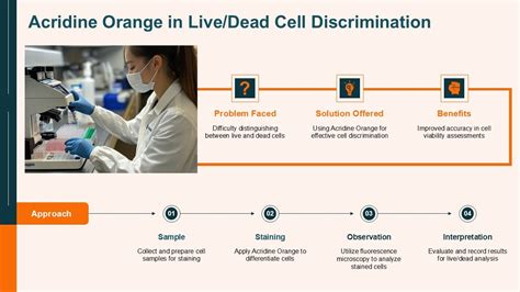 Top 10 Ppt Orange Powerpoint Presentation Templates In 2025