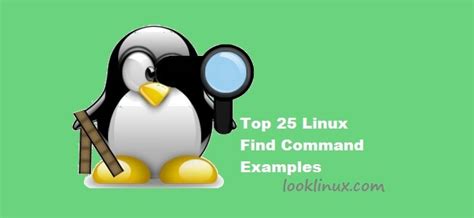 Top Linux Find Command Examples LookLinux