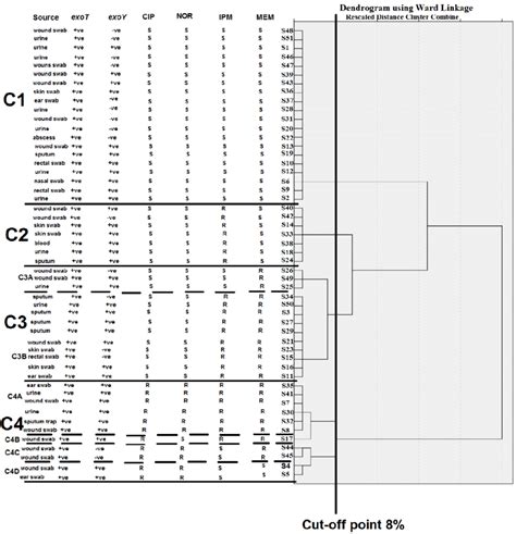 Dendrogram Of 51 Clinical Isolates Of P Aeruginosa Based On The Upgma
