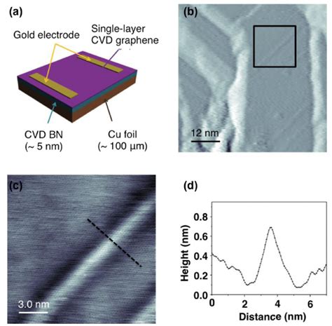 “observation Of Spatially Varying Fermi Velocity In Strained Graphene Directly Grown On
