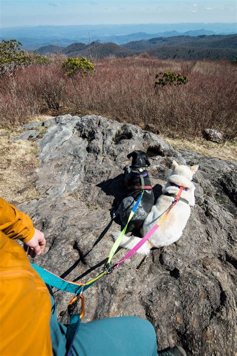 Bald Bass Fishing Home Facebook