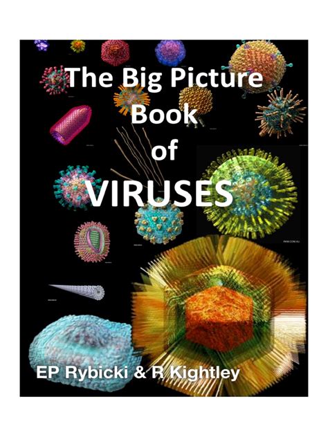 The Big Picture Book Of Viruses Ep Rybicki And R Kightley Pdf