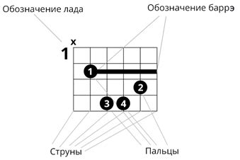 Как научиться играть на гитаре с нуля - уроки, самоучитель для начинающих
