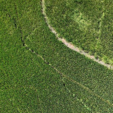 Labelme Coco Roboflow Universe