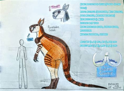 The Cenozoic Country Procoptodon Goliah By Jjt123 On Deviantart