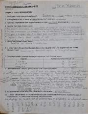 Module Complete Pdf Course Hero