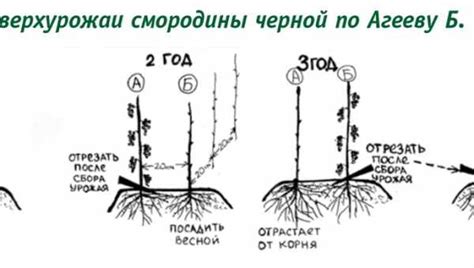 Служба Bitlocker — где скачать как настроить и как отключить