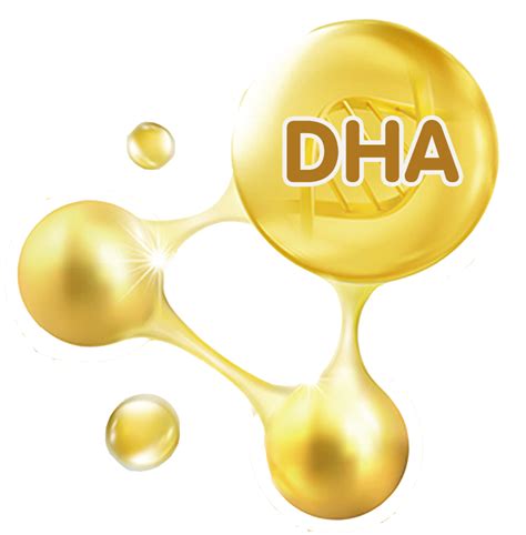 Dha＋ara黄金搭配有多重要？智慧宝宝少不了！ 知乎