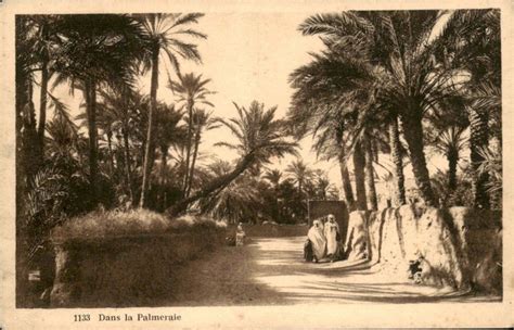 Alg Rie Maroc Afrique Du Nord Ethnologie Cartes Postales Ethniques Ethnographiques