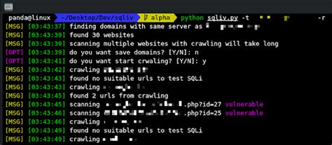 Sqliv Massive Sql Injection Vulnerability Scanner Pentesttools