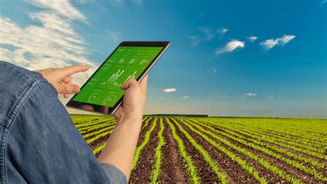 Here S How AI Will Change The Future Of Weather Forecasting