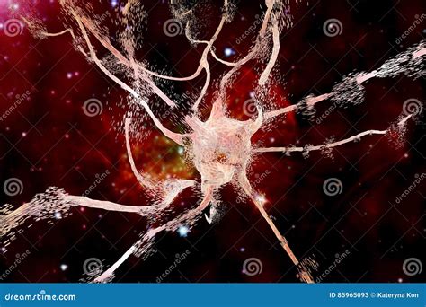 Apoptosis Of Neuron Which Is Observed In Different Diseases Royalty