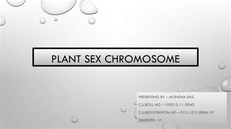 Plant Sex Chromosom Onh Kwjw Syts Uduye Shhs Hw Ppt