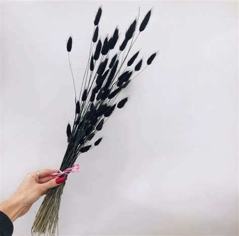 Black Bunny Tails Home Decor Uk Kiss My Pampas