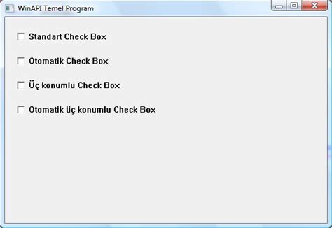 Windows Api Programlama