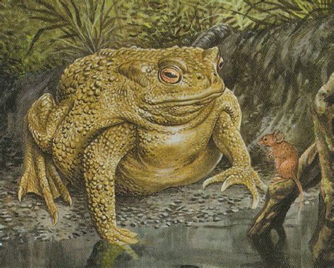 Bloated Toad Card Edhrec
