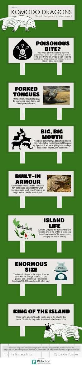 Classification Of Komodo Dragon Dzulfaqor Ali