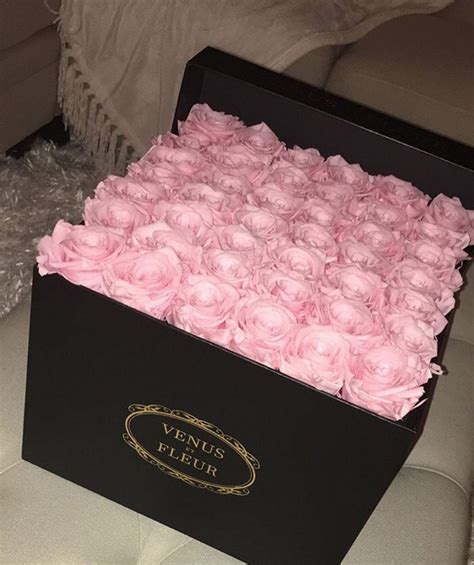 Nylea Malinowski Blog On Tumblr Nylea Malinowski Blog On Tumblr