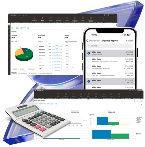 Oracle Netsuite Solutions It Group Inc