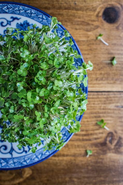Est il essentiel d investir de manière significative dans la préservation des plantes et de la