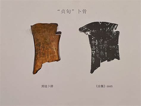 甲骨文图片素材 甲骨文设计素材 甲骨文摄影作品 甲骨文源文件下载 甲骨文图片素材下载 甲骨文背景素材 甲骨文模板下载 搜索中心