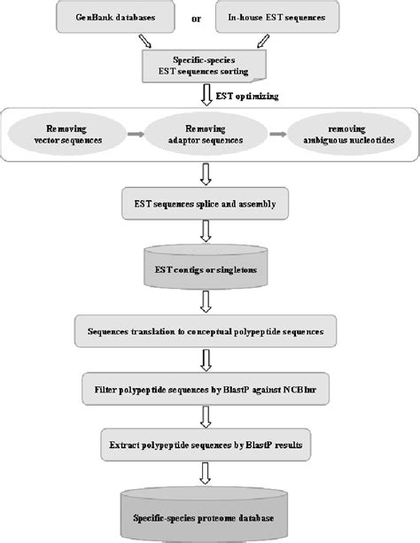 Figure 1 From Improved Protein Identification Using A Species Specific Proteinpeptide Database