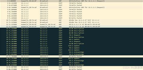 Wireshark抓包 Ospfospf抓包 Csdn博客