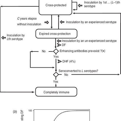 Individual Based Model For Dengue Infections A Diagram Of The Download Scientific Diagram
