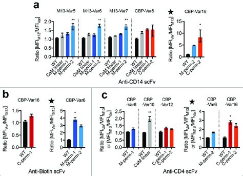 Identification Of Other Calmodulin Binding Peptides With Affinity Download Scientific Diagram