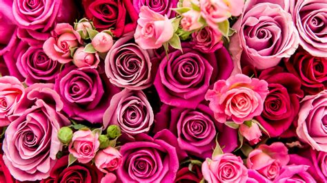 Sejarah Ringkas Valentines Mengapa Ia Disambut Pada Februari
