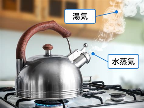 湯気は液体？気体？固体？ 化学qanda｜化学に触れる学びのトレイン｜キャタラー