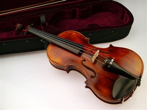 Violin Strings Case Free Photo On Pixabay
