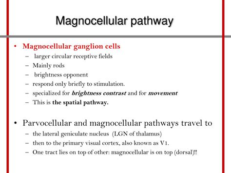 Ppt Chapter 10 Powerpoint Presentation Free Download Id 692479